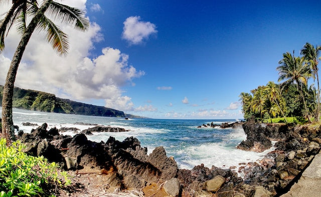 Get 2024 & 2025 Timeshare Owner Leads | Opt-In, Resale, Exit Leads ...